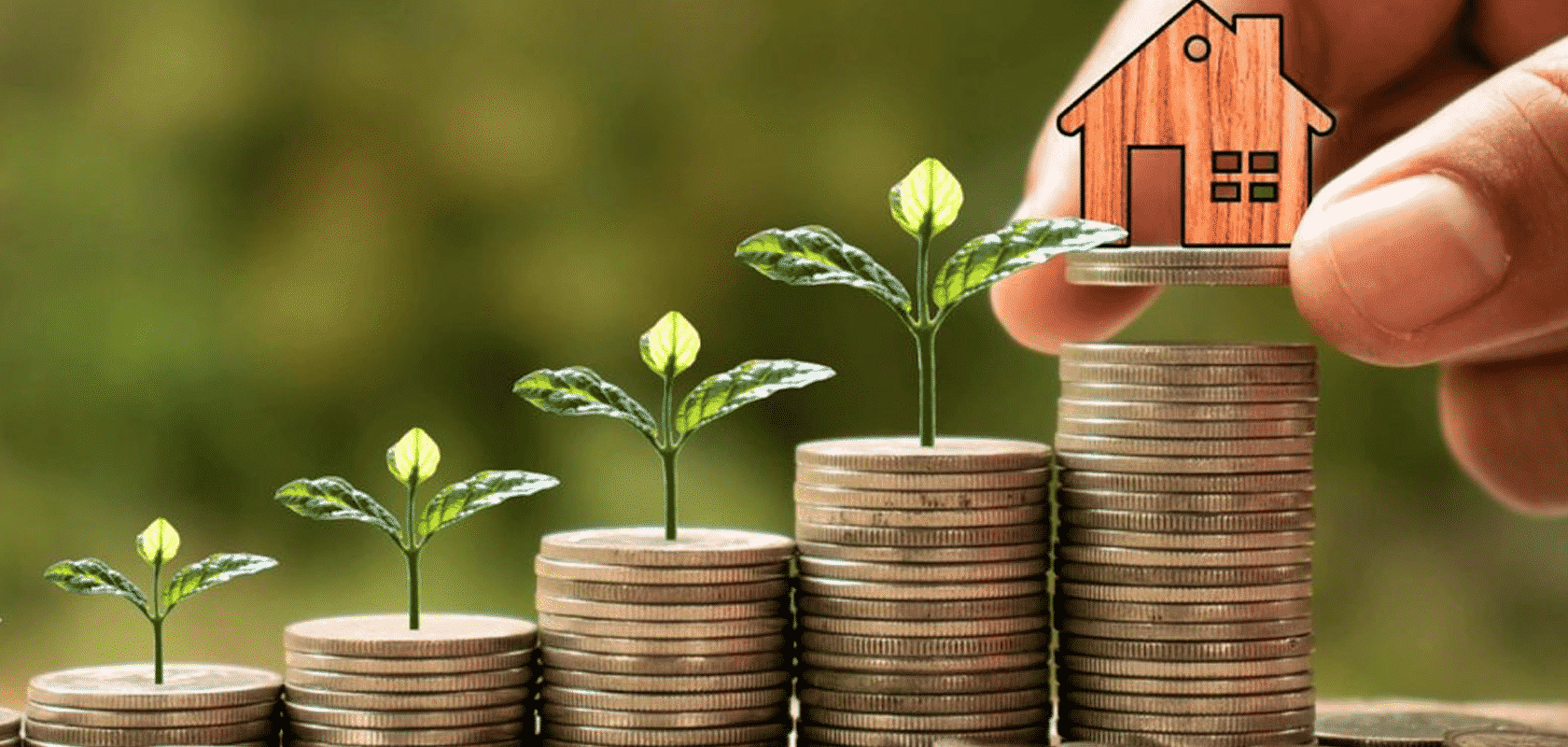 Comment devenir un investisseur avisé et rentable ? - Full Invest